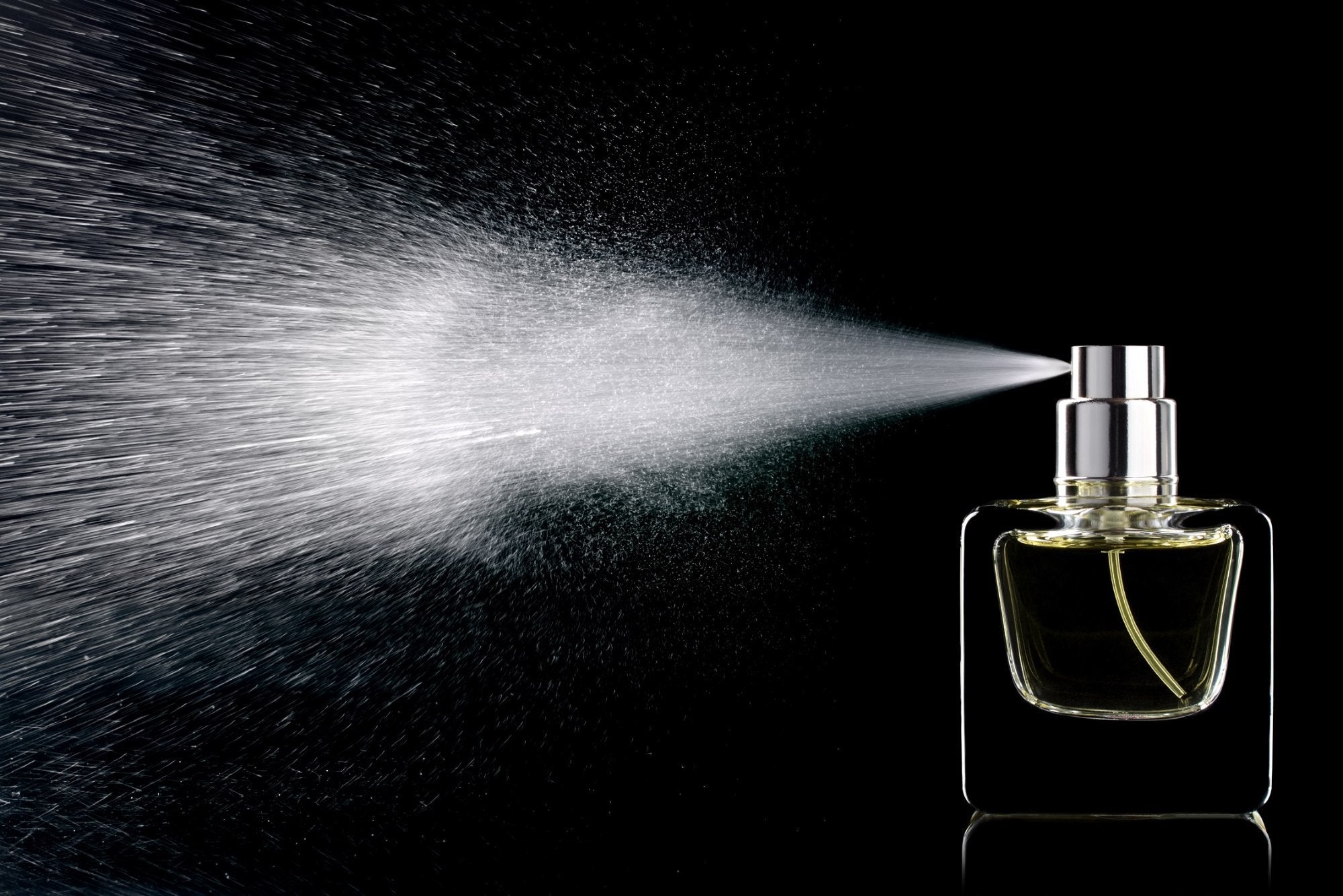 The Number 1 Perfume Seller in Town | Synergy Scents Kenya